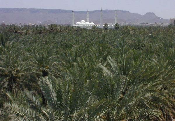 The Prophecy of Isaiah – Islamic Methodologies Made Easy